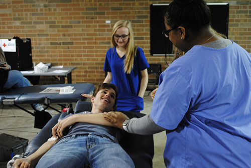 Therapeutic Services Act